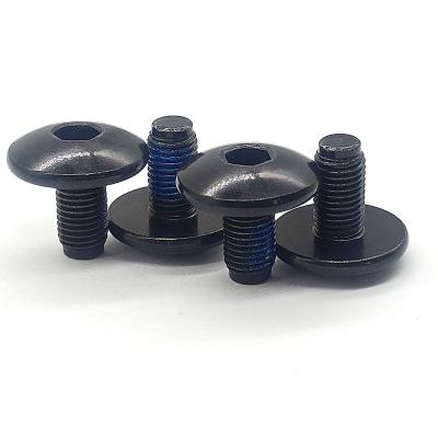 중국 3m 4m 스테인리스 스틸 소켓 헤드 스크루 M2 M6 M8 블랙 옥시드 기계 스크루 판매용