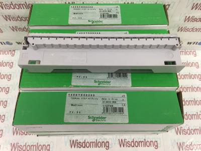 Cina 140XTS00200 Modicon Quantum, controllore logico programmabile, blocchetto terminali della vite, 40 punti in vendita