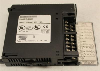 中国 GE FANUC IC693PWR321 モジュールシリーズ 4A ピーク,最大250ミリ秒 販売のため