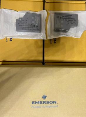 Cina Assemblaggio di schede di ingresso/uscita Ethernet redundanti (EIOC) Emerson SE4101 in vendita