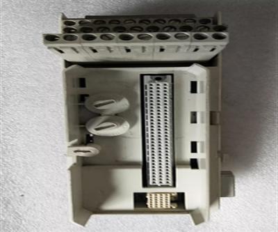 Cina 3BSE013231R1 ABB - TU811V1 ABB 8 Canale 250 V Modulo Compatto in vendita