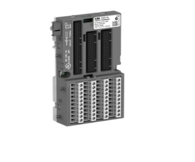 Cina Dispositivi ABB 1SAP217200R0001 TU531 SCR 230AC AC500 PLC TERMN in vendita