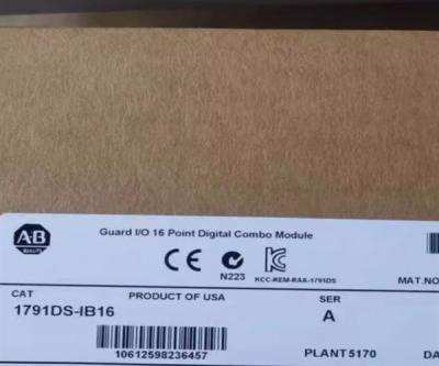 Cina 1791DS-IB16 Allen-Bradley Guard I/O Modulo di pettinatura digitale a 16 punti in vendita