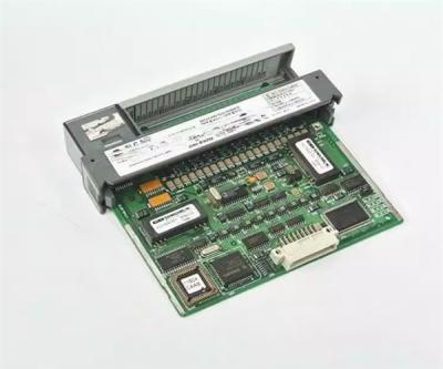 Cina Allen-Bradley 1746-NI16V Modulo di ingresso analogo Modulo di controllo logico programmabile in vendita