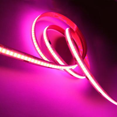 China Waterproof COB Flexible LED String Rope Lights for Home Xmas Decor à venda