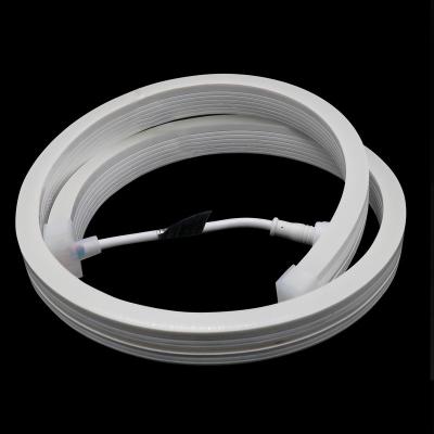 Cina 5000 mm di lunghezza Digital LED Strip e IP20 con 1000 Flux luminoso in vendita