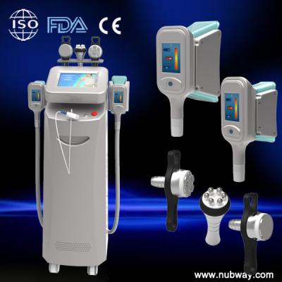 China Safety Portable Cryolipolysis Slimming Machine 220v For Salon Use for sale