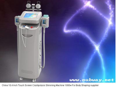 China High Efficiency Cryolipolysis Slimming Machine 220V For Losing Weight for sale