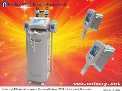 China 10.4 Inch Touch Screen Cryolipolysis Slimming Machine 1800w For Body Shaping for sale