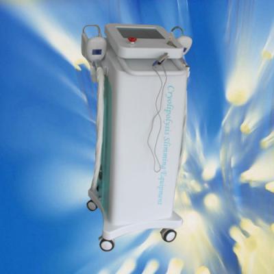 China Freeze Cryolipolysis Slimming Machine With Touch Color Screen For Spa for sale