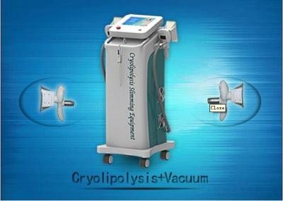 China Touch Color Screen Cryolipolysis Slimming Machine RF For Home Use for sale