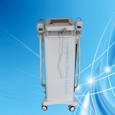 China 2MHZ RF Cryolipolysis Slimming Machine 10.4'' Touch Color Screen For Fat-Freezing for sale
