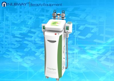 China High quality Newest 3 in 1 cryolipolysis machine for home use for sale