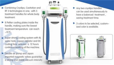 China vertical cryo cryolipolysis fat freezing machine for sale
