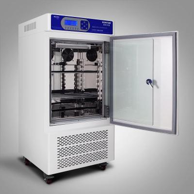 Cina Environmental Seed Germination Climatic Chamber With Temperature Humidity Testing 1000L in vendita