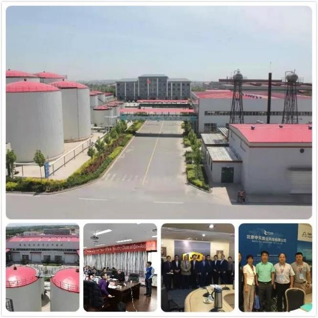 ZTA-RA anti-rutting asphalt additive for heavy load traffic and bus lanes 5