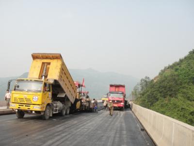 China Black Road Anti Rutting Additive For Municipal Roads Expressways for sale