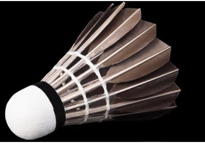 China Goose feather shuttlecocks, high quality for long playing, 12 pcs for each dozen for sale