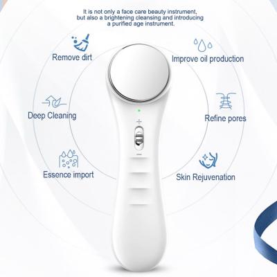 China 3 In 1 Microcurrent Facial Machine Long - Lasting Moisturizing 3.7V Voltage for sale