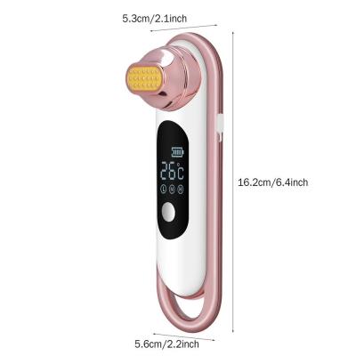 China Sw-Rm-1706 Microcurrent Facial Machine Exquisite Craft Intelligent Design for sale