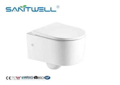 China Sewage Smooth Wall Mounted WC Single Piece With Rimless Flushing System for sale