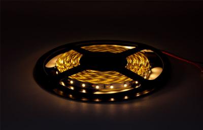 Cina 60 LED/illuminazione bianca calda del paesaggio della luce di striscia cucina 12V LED del tester SMD 3528 flessibili in vendita