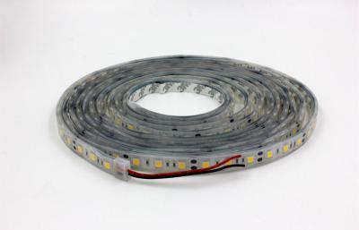 Cina 12 volt hanno colorato le lampade fluorescenti principali IP68 flessibile impermeabile SMD 5050 per la casa in vendita