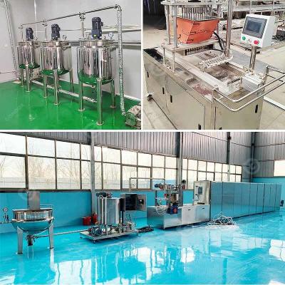China New Automatic Small Confectionery Pour Make Machine Pectin Jelly and Gummy Deposit Hard and Soft Candy Production Line for sale