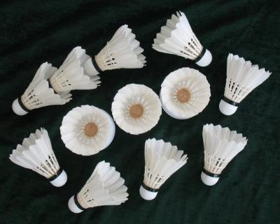 China DAYI–naidawang grade badminton feather shuttlecock for sale