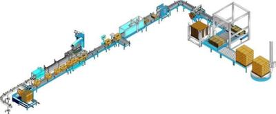 China Good price Carton box palletizer machine,Carton case stacking palletizer machine for sale