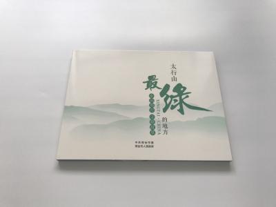 Cina Carte di video-brochure innovative per il cavo USB portatile del governo in vendita