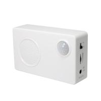 China Plastic Motion Activated Speaker Motion Sensor Sound Box With Audio for sale