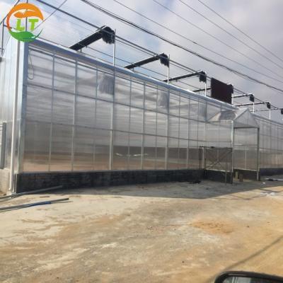 Cina Serra Multi-Span Agricoltura Serra in policarbonato per un flusso d'aria ottimale in vendita