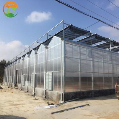 Cina Serra Multi-Span Agricoltura Serra in policarbonato per un flusso d'aria ottimale in vendita