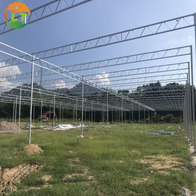 Cina Serra Multi-Span Agricoltura Serra in policarbonato per un flusso d'aria ottimale in vendita