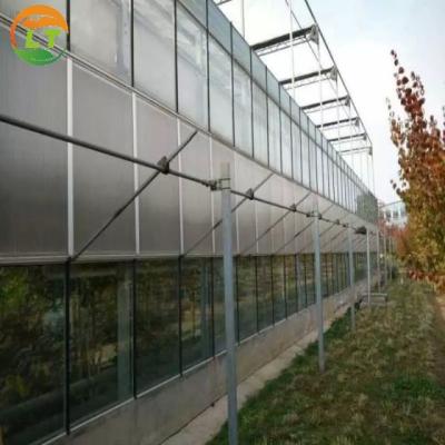 Cina Serra Multi-Span Agricoltura Serra in policarbonato per un flusso d'aria ottimale in vendita