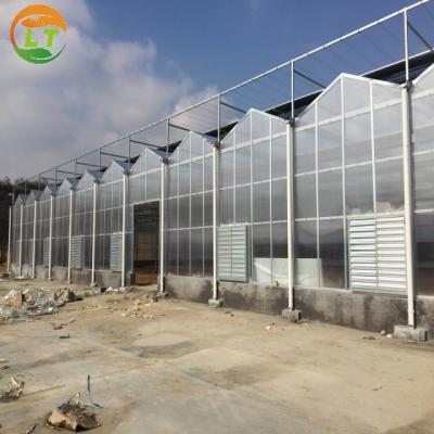 Cina Serra Multi-Span Agricoltura Serra in policarbonato per un flusso d'aria ottimale in vendita