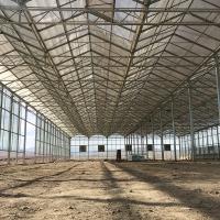 China Large Multi-Span Greenhouse with Modern Aluminium Structure and Hydroponics System for sale