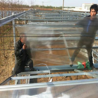 Cina Serra in policarbonato a sezione 4m per ortaggi, frutti e fiori di grado commerciale in vendita