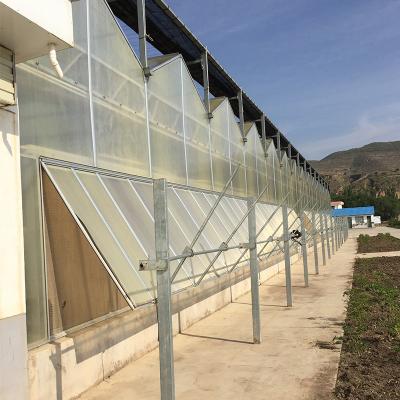 Cina Serra di fogli di plastica/PC Serra con struttura stabile e prese d'aria in vendita
