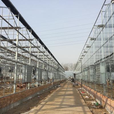 Cina Serra di fogli di plastica/PC Serra con struttura stabile e prese d'aria in vendita