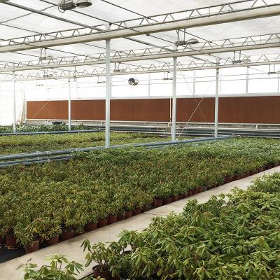 Cina Serra di fogli di plastica/PC Serra con struttura stabile e prese d'aria in vendita