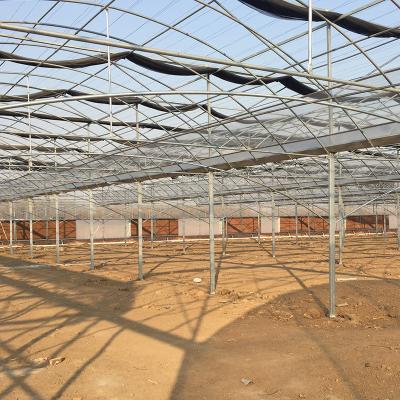 Cina Migliorare la ventilazione nelle serre agricole multi-span con sistema rack e pinion in vendita