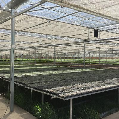 Cina Migliorare la ventilazione nelle serre agricole multi-span con sistema rack e pinion in vendita
