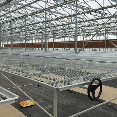 Cina Migliorare la ventilazione nelle serre agricole multi-span con sistema rack e pinion in vendita