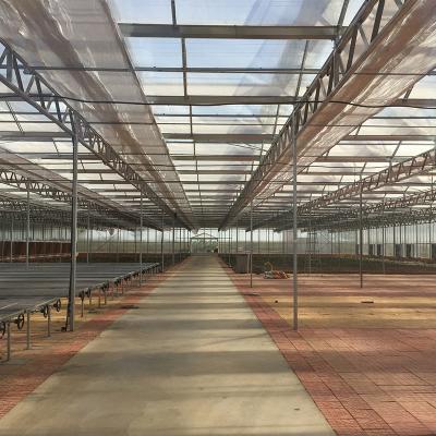 Cina Migliorare la ventilazione nelle serre agricole multi-span con sistema rack e pinion in vendita