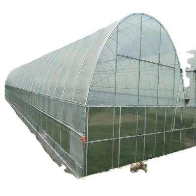 Optimal Plant Cultivation Tunnel Greenhouse Covered with 150/200micro PO Film
