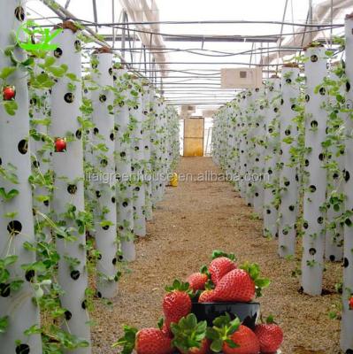 Cina Serra idroponica Fragola Lunghezza 30-100 m Adatta a ortaggi Frutti Fiori in vendita
