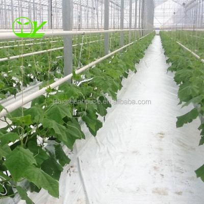 Cina Serra idroponica Fragola Lunghezza 30-100 m Adatta a ortaggi Frutti Fiori in vendita