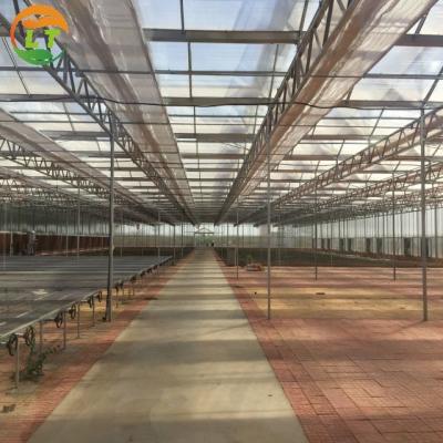 Cina Grande serra in policarbonato per la coltivazione di ortaggi e fiori in vendita